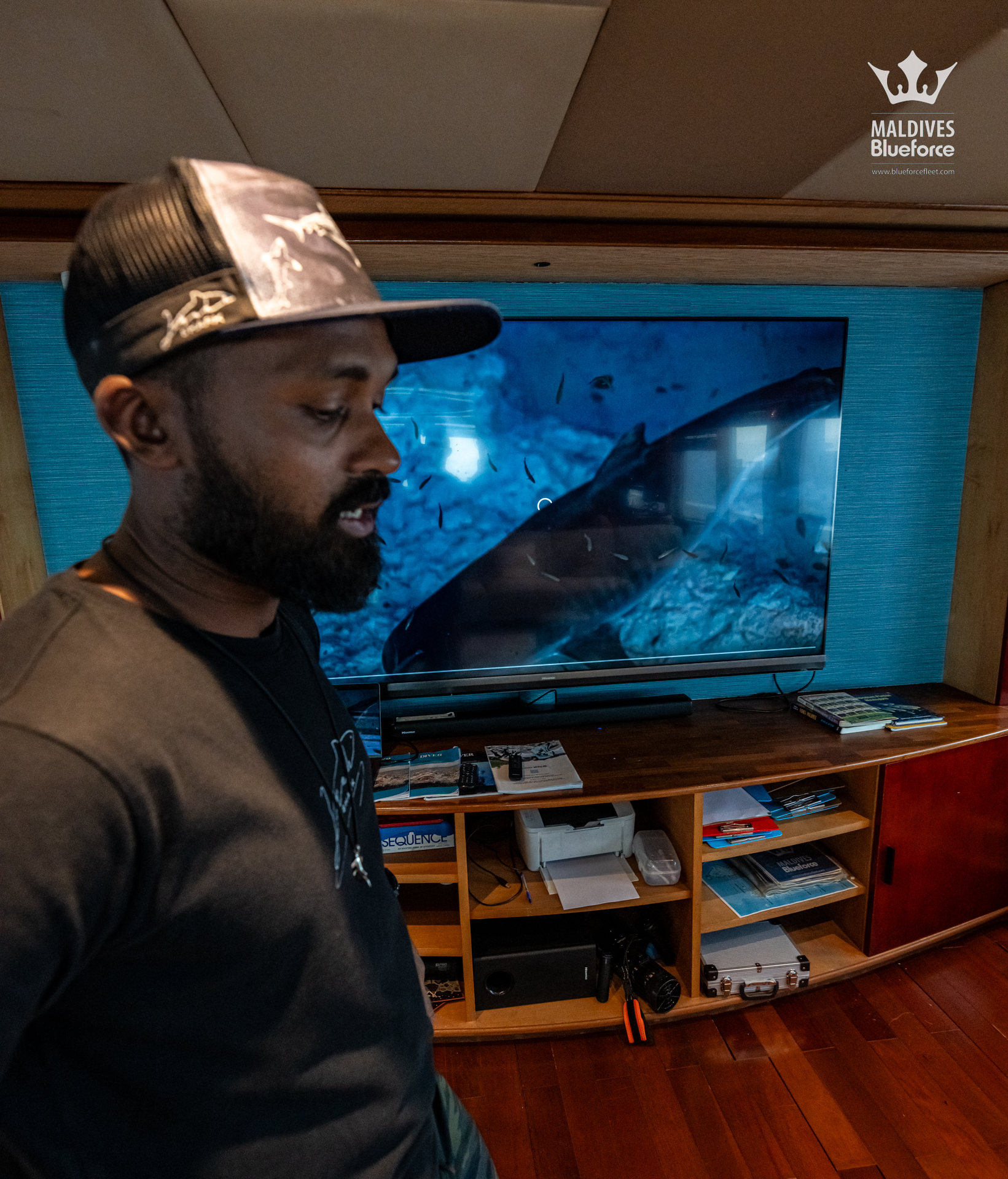 Shark Safety Diver Guide! – Blog Blue Force Fleet