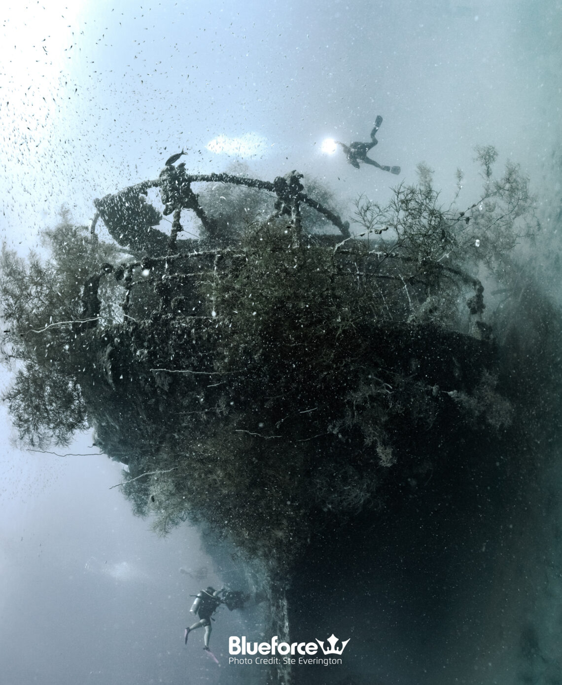 The Wreck of the British Loyalty: – Blog Blue Force Fleet